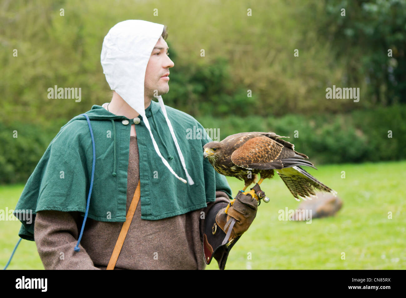 A medieval falconer with a Harris Hawk on his gloved hand Stock Photo ...
