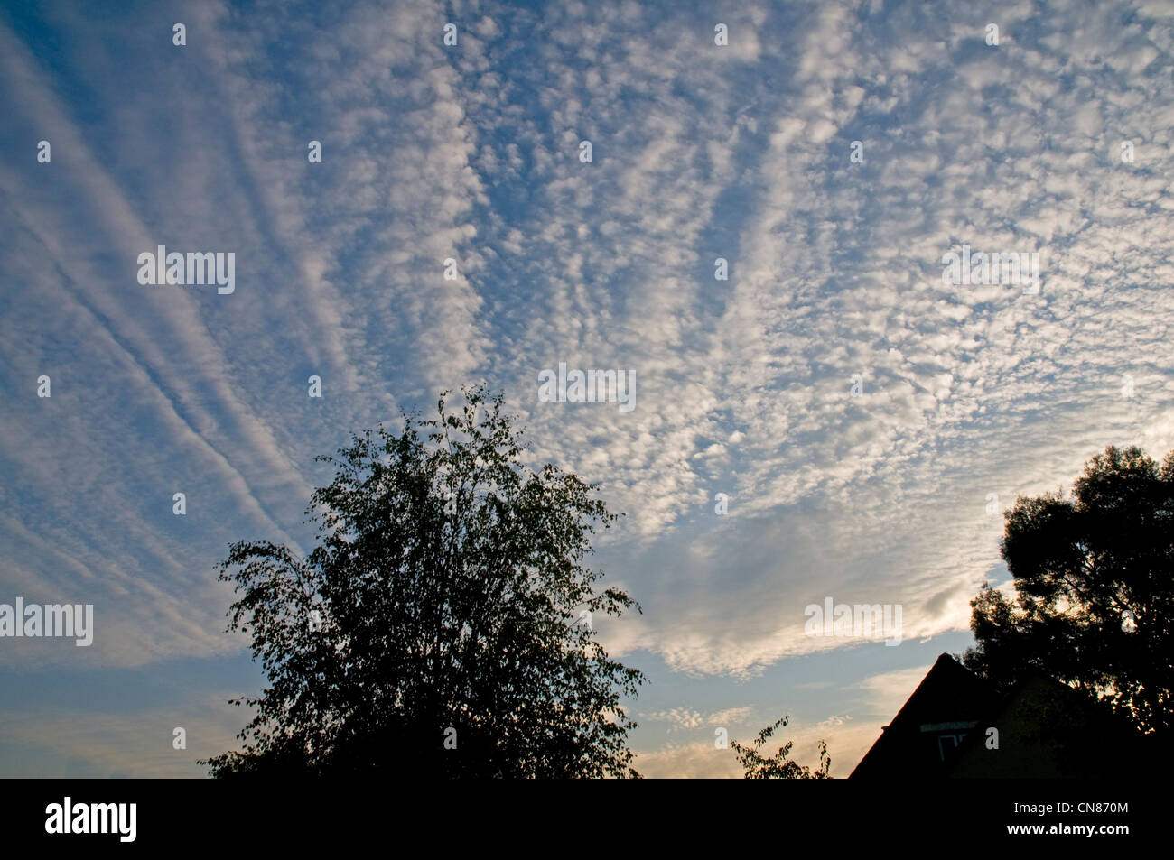 Altocumulus around sunset over Bradninch, Devon Stock Photo - Alamy