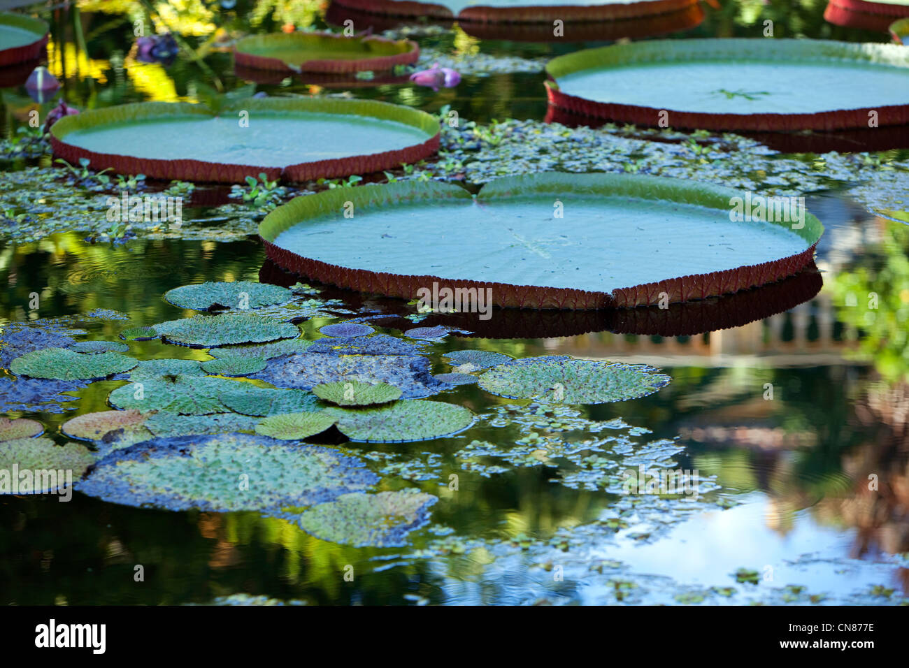 Val rahmeh menton botanical garden hi-res stock photography and images ...