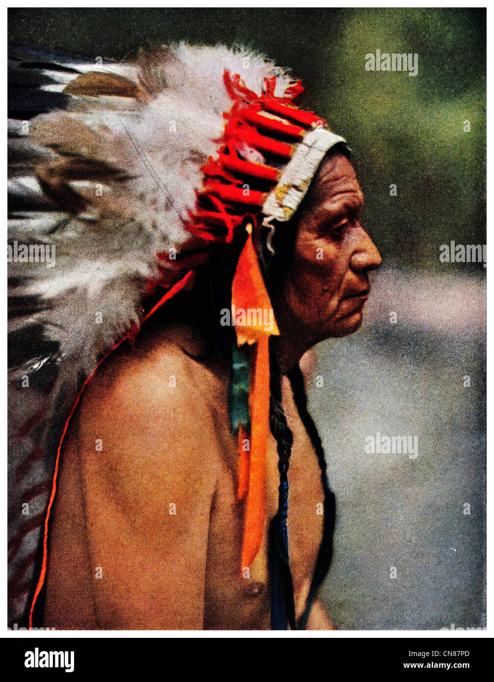 Chief Illustration Indian Chief Head High Resolution Stock Photography ...