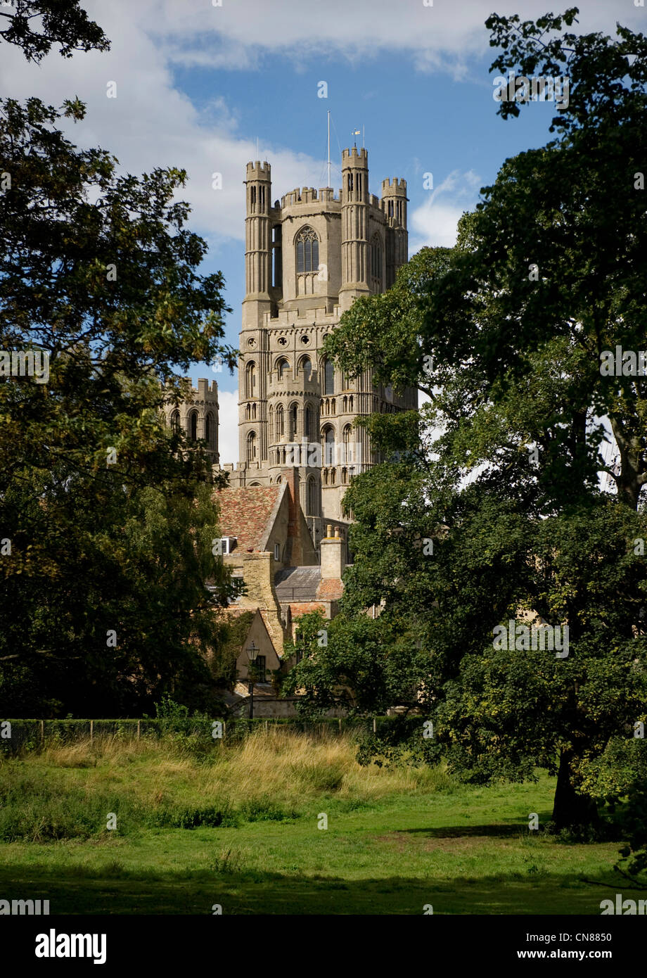 View of Ely Cathedral's West Tower from the Deans Meadow Stock Photo ...