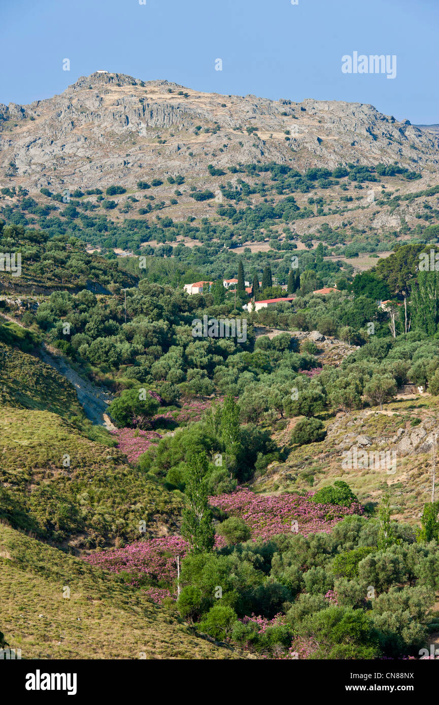 Eressos hi-res stock photography and images - Alamy