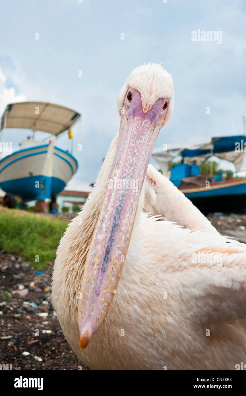 Gulf Of Kalloni High Resolution Stock Photography and Images - Alamy