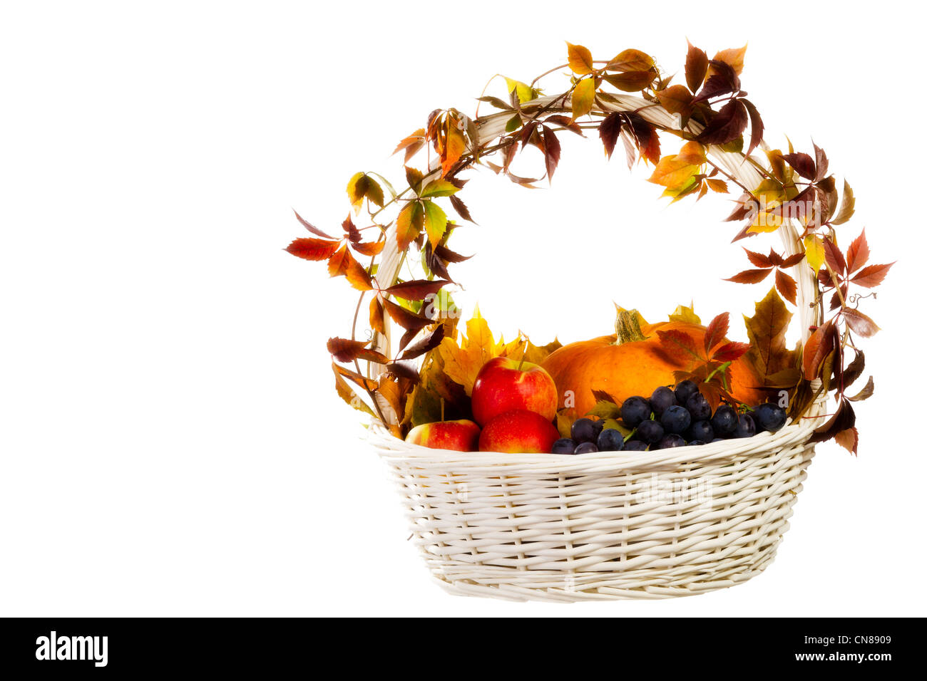 fall cornucopia isolated on white Stock Photo - Alamy