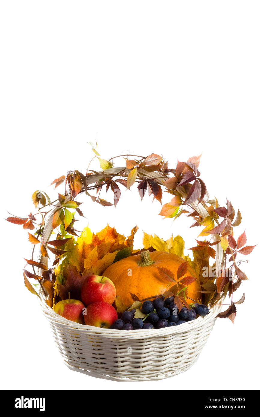 fall cornucopia isolated on white Stock Photo - Alamy