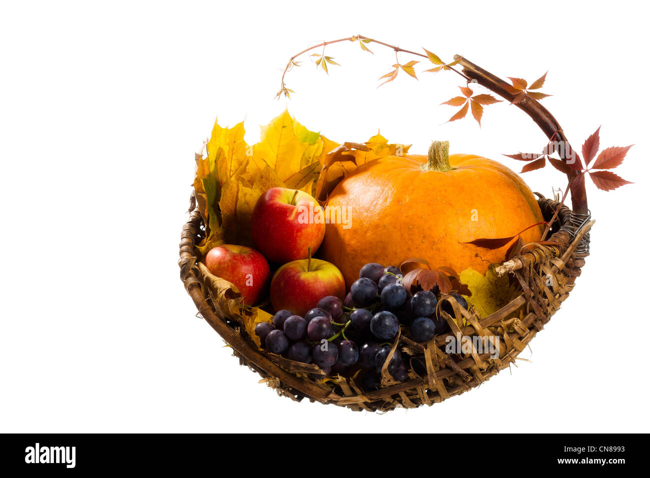 Cornucopia Cut Out Stock Images & Pictures - Alamy