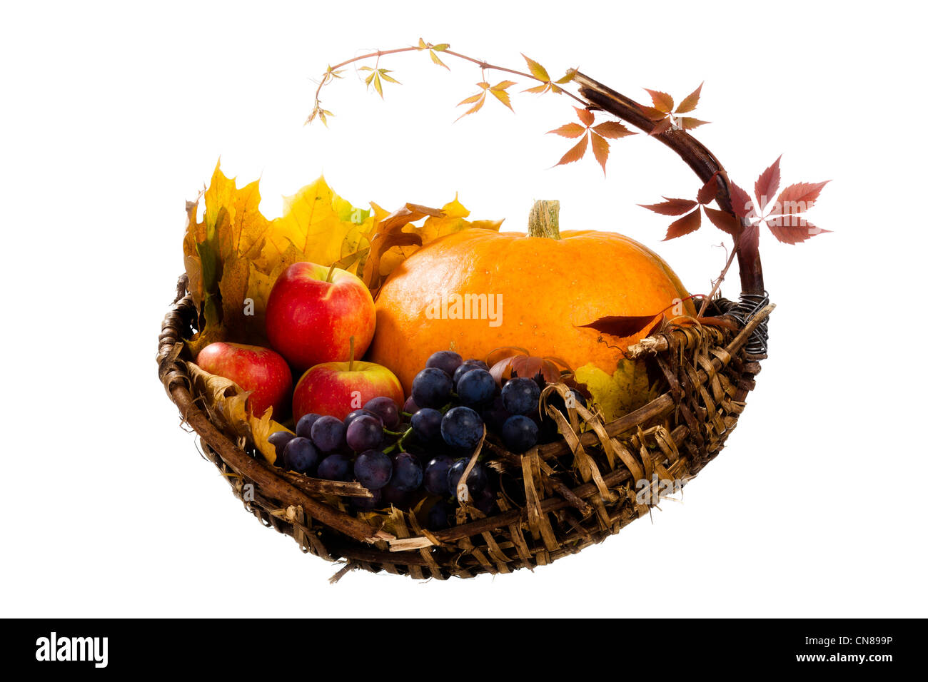 Cornucopia Cut Out Stock Images & Pictures - Alamy