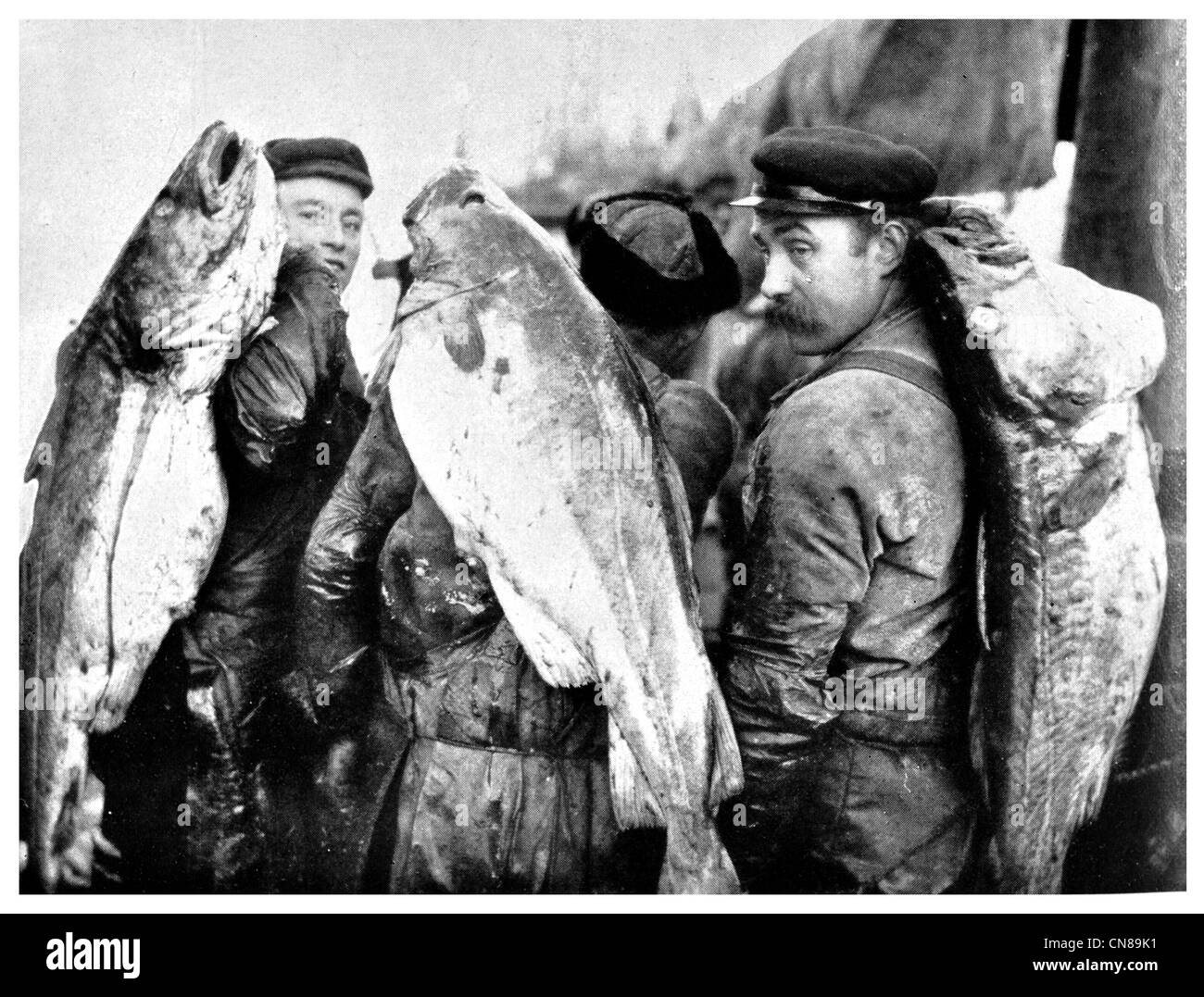 First published 1915 Cod fish fishermen catch haul Stock Photo - Alamy
