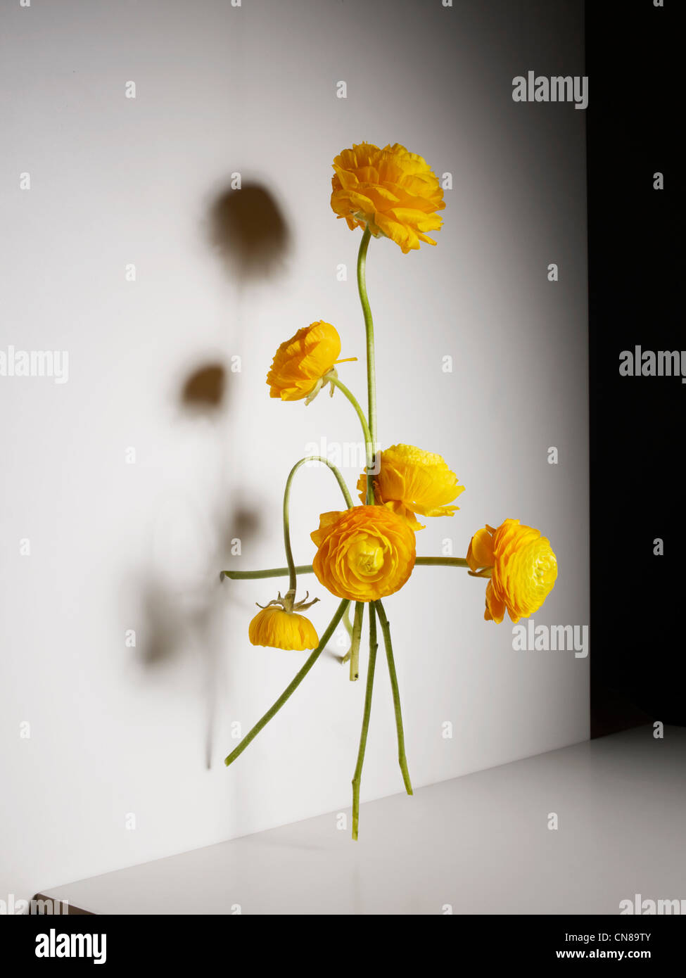 Suspended hanging hi-res stock photography and images - Alamy