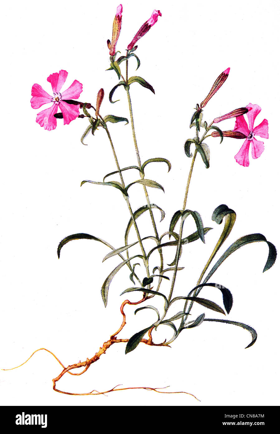 First published image Cut Out Stock Images & Pictures - Alamy