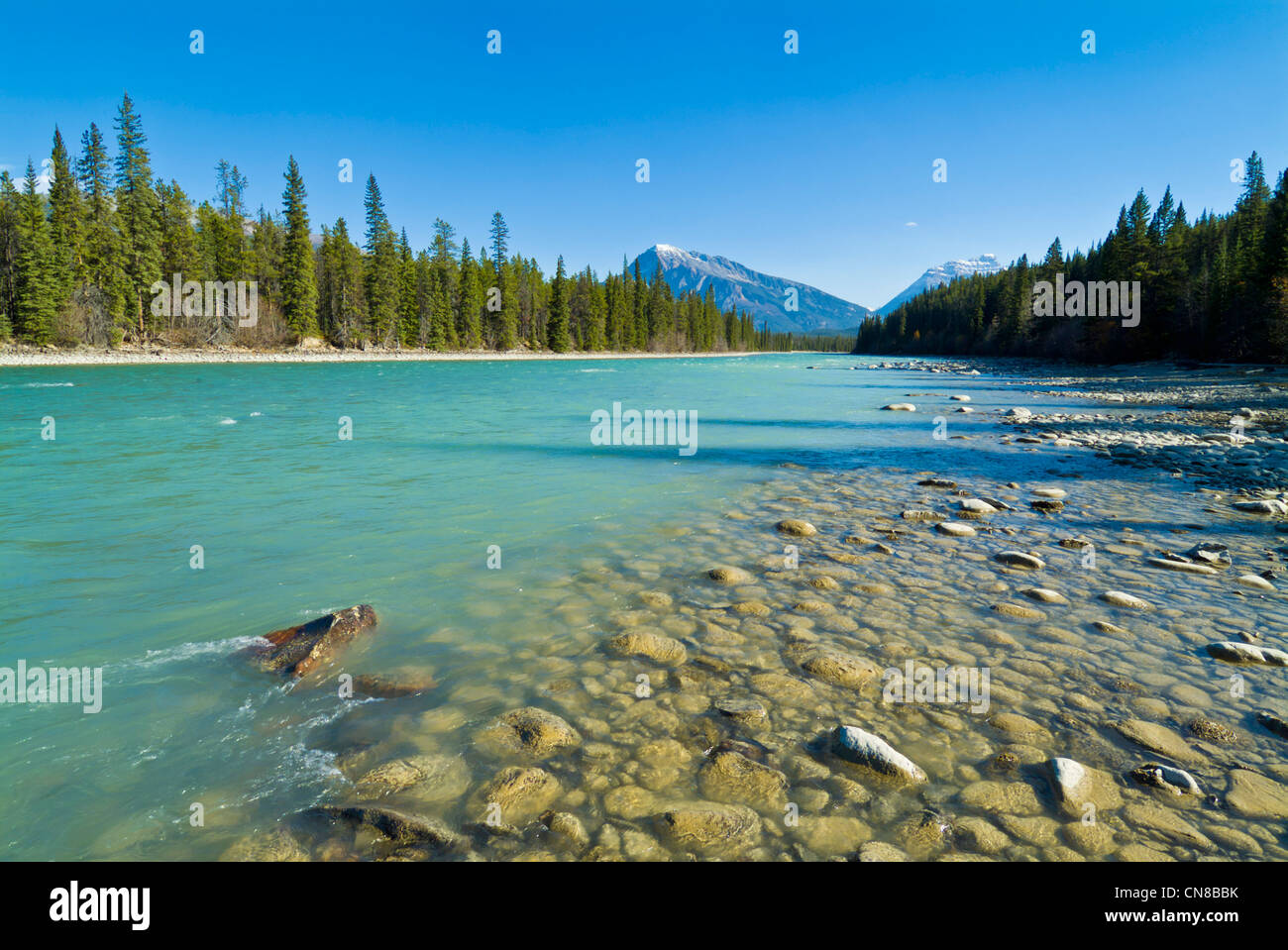 Mount Kerkeslin from the Meeting of the waters area of the Athabasca ...