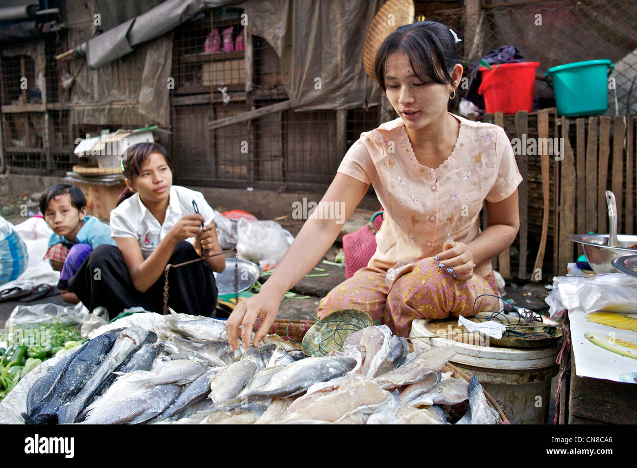 A Burmese woman sells fresh fish in a street market on the streets of Rangoon (Yangon), Burma ...