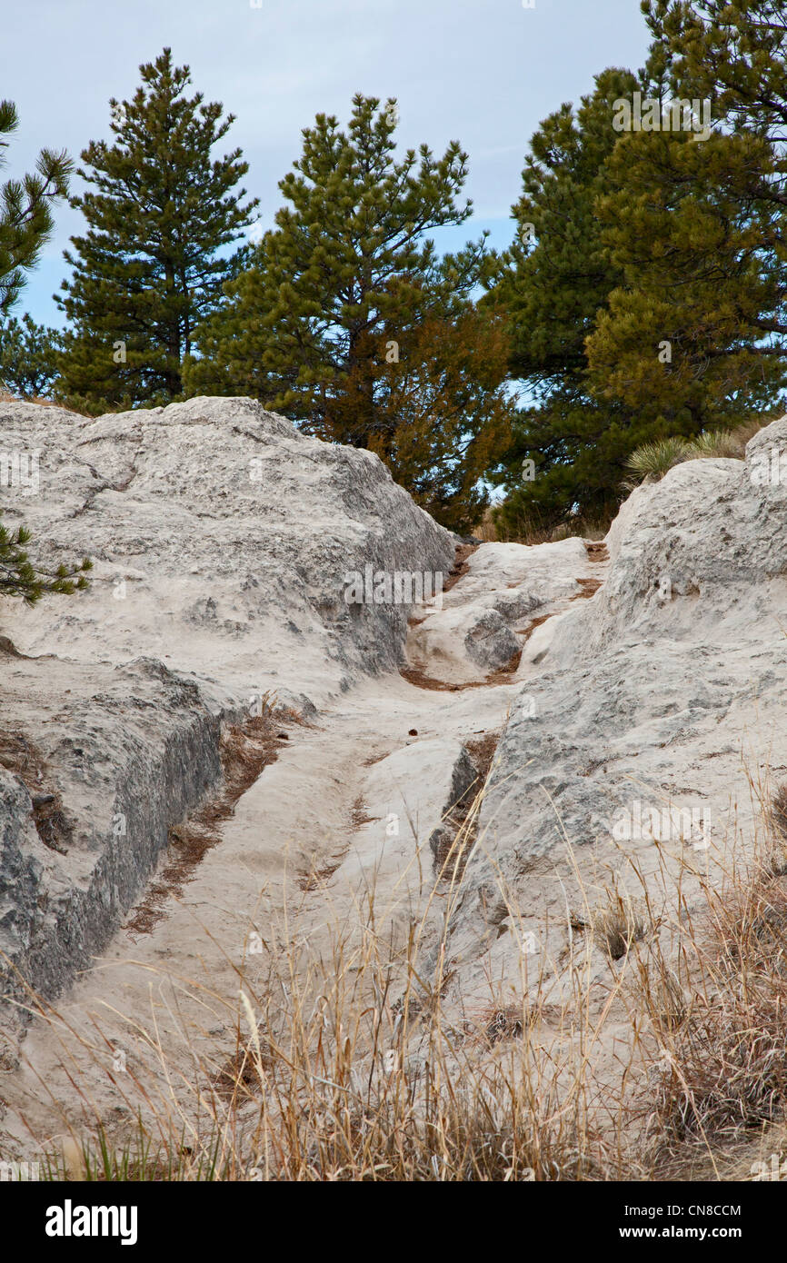 Wagon train ruts hi-res stock photography and images - Alamy