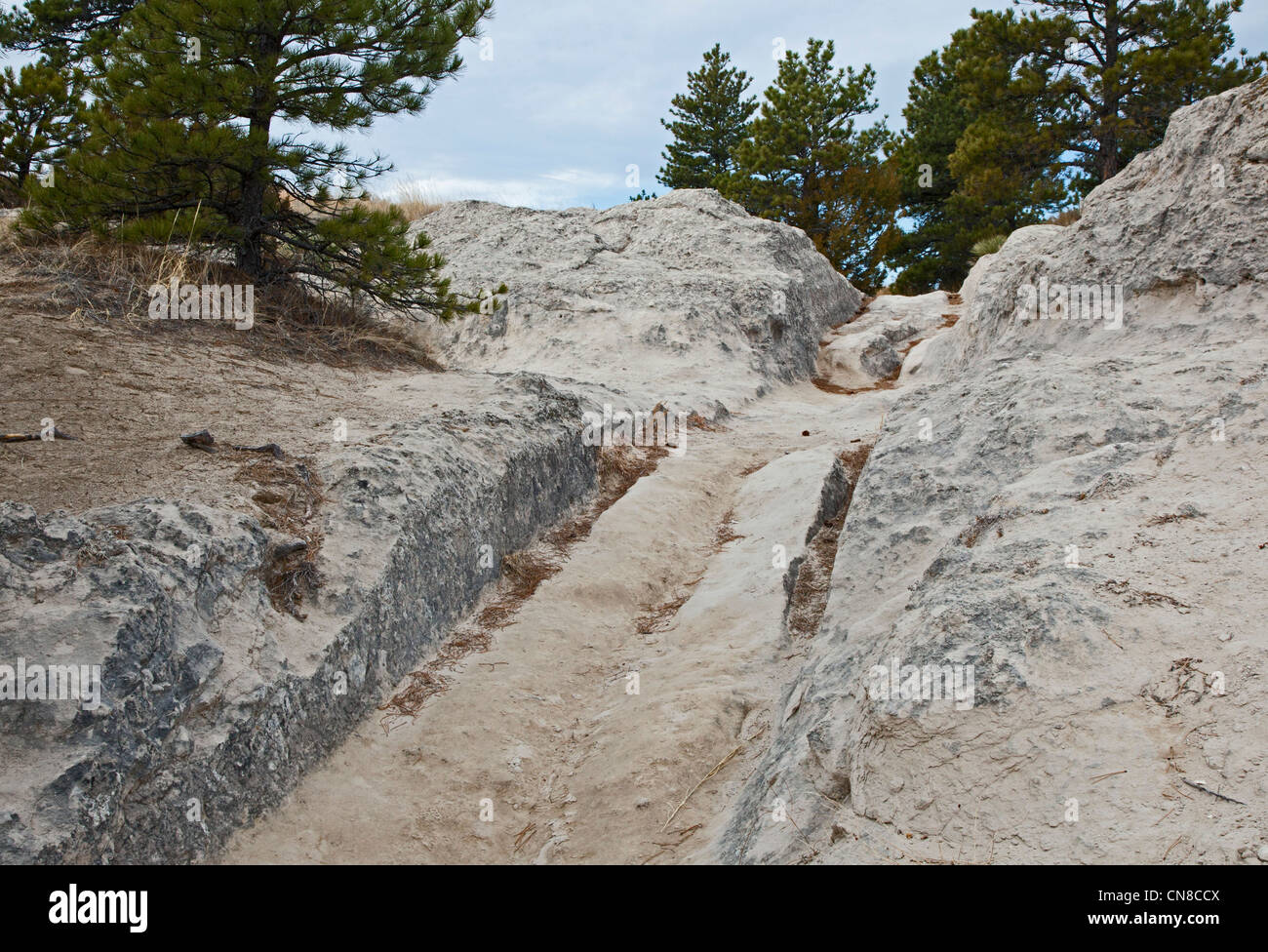 Trail ruts carved by thousands of westward-bound emigrants in wagon ...