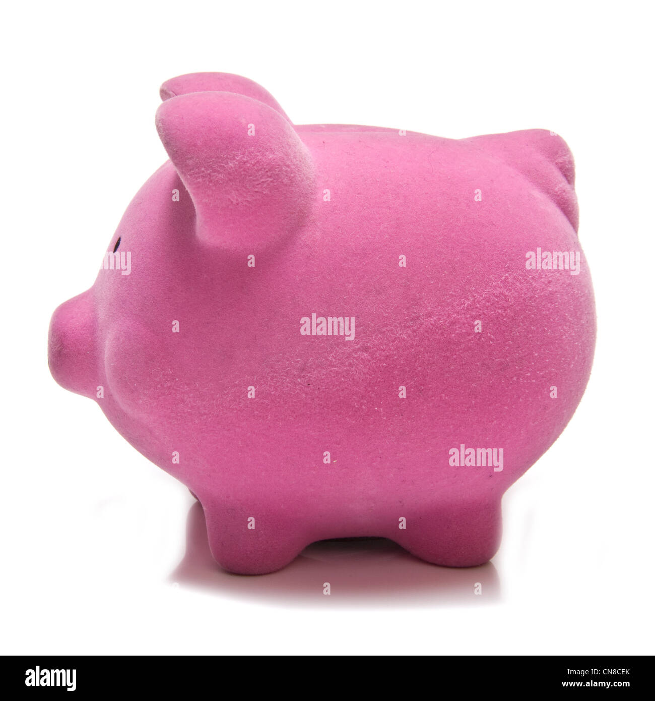 Pink piggy bank or money box isolated on a white studio background ...