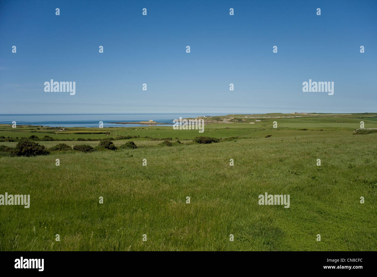The island of Cribinau and the 13th-century church of St Cwyfan known ...