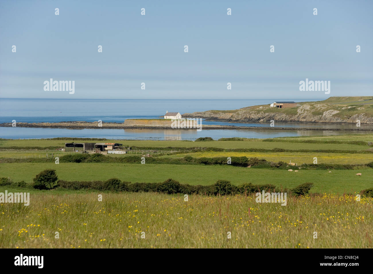 The island of Cribinau and the 13th-century church of St Cwyfan known ...