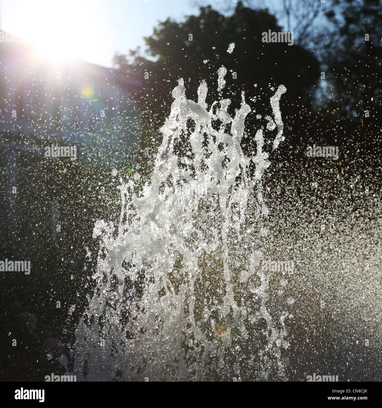 Rising spray hi-res stock photography and images - Alamy