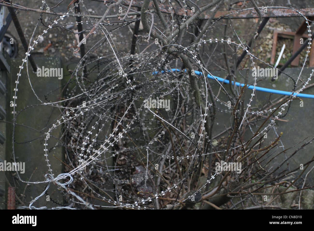 Tangle of razor wire hi-res stock photography and images - Alamy