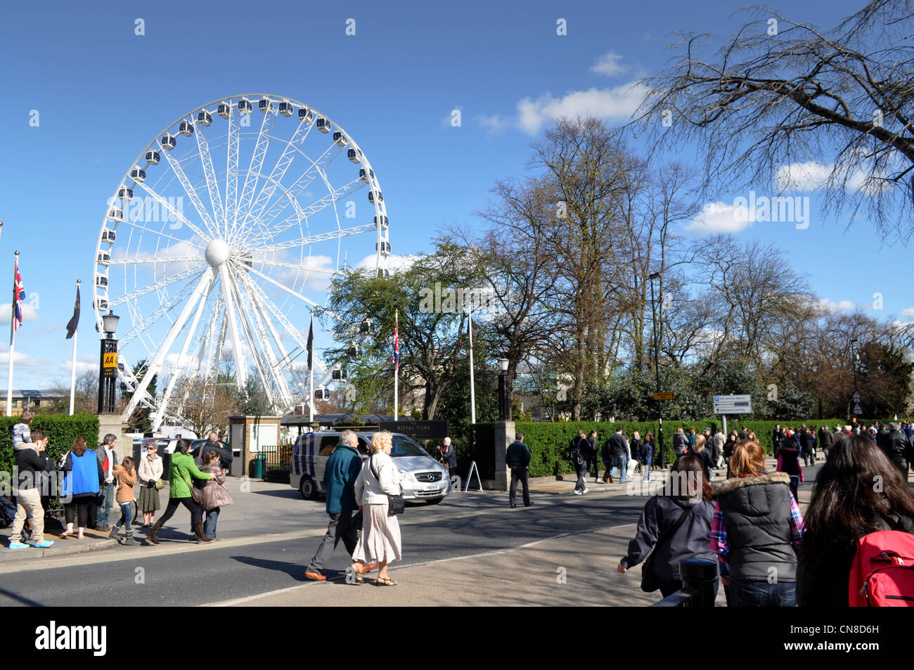 The York eye Stock Photo - Alamy