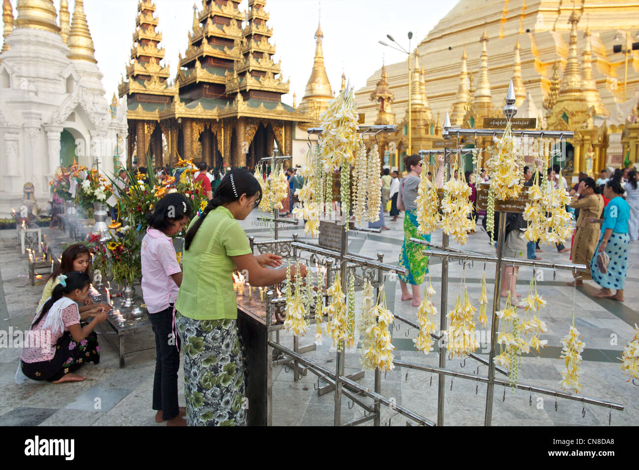Jasmine flower garlands hanging in the Shwedagon Paya in Rangoon in ...