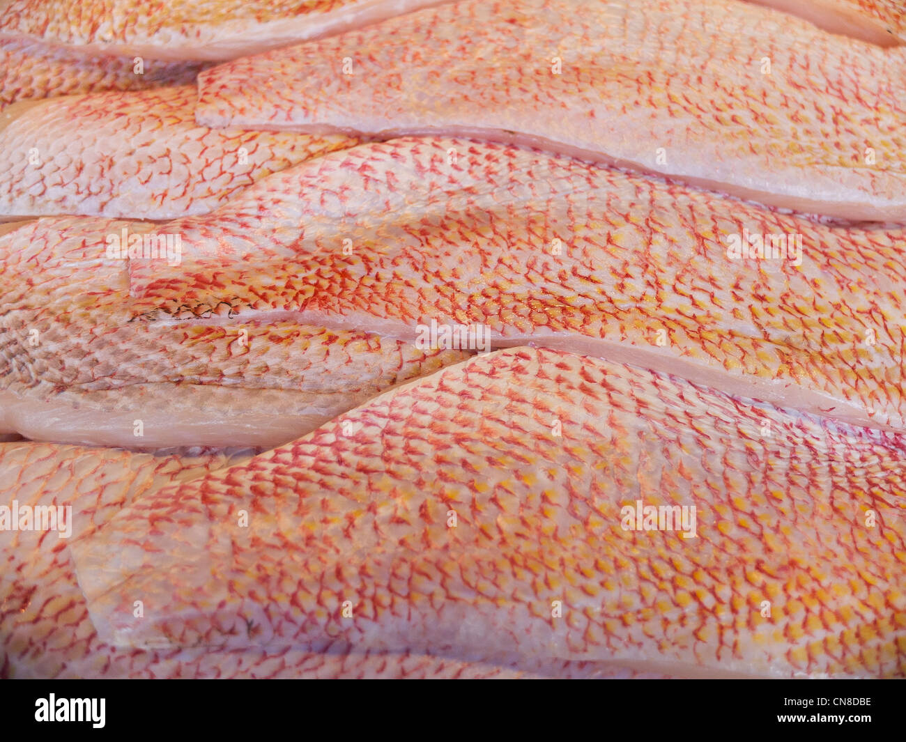 fillet of red snapper fish Stock Photo - Alamy