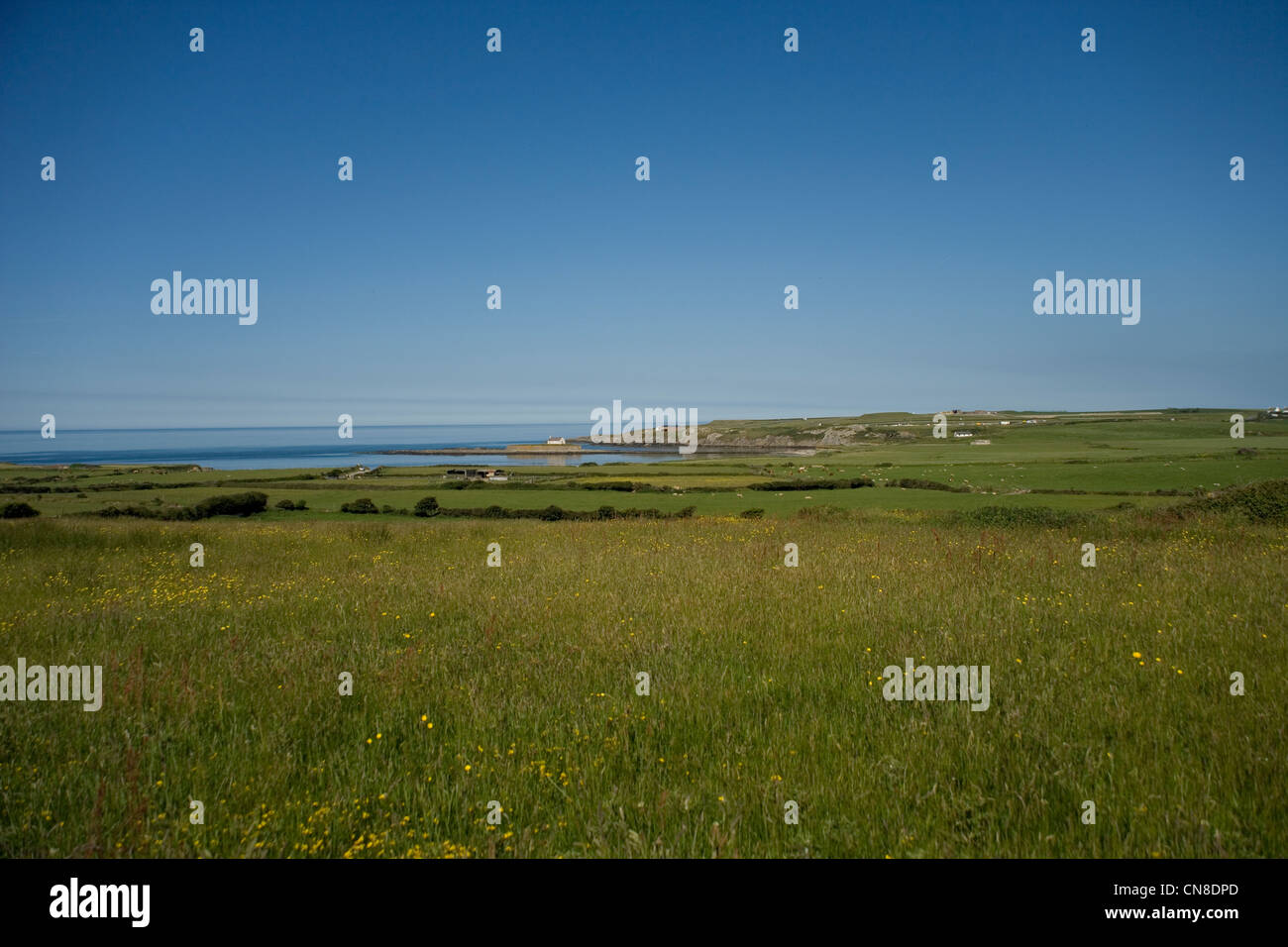 The island of Cribinau and the 13th-century church of St Cwyfan known ...