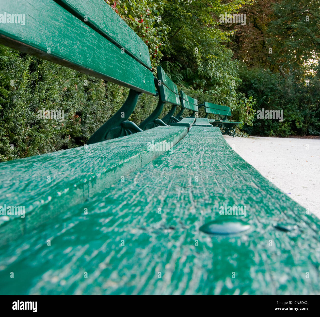 Row of green benches in Bruges park Stock Photo - Alamy
