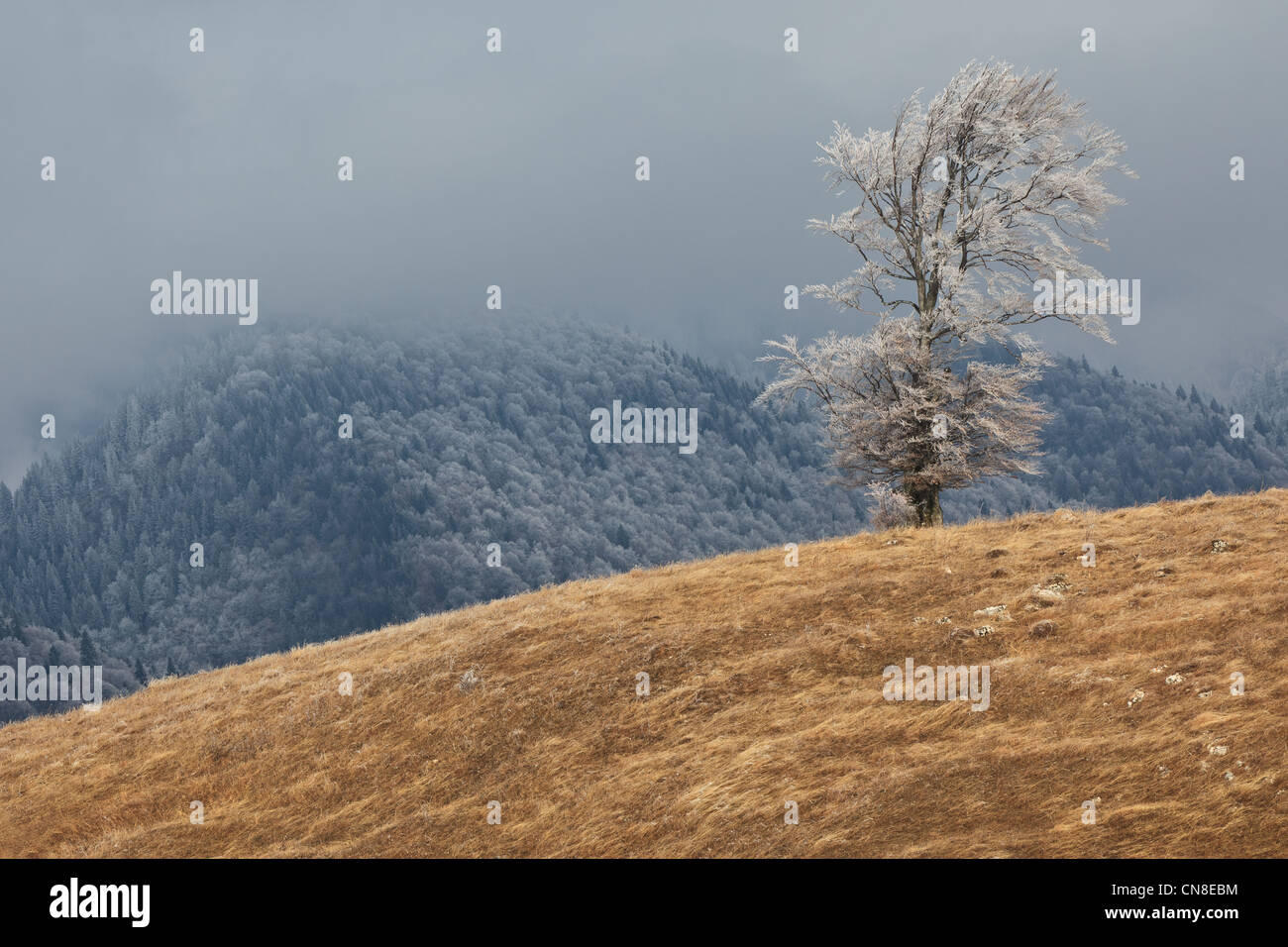 Rustic landscape background hi-res stock photography and images - Alamy