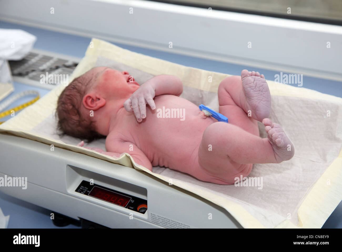Newborn baby on the balance Stock Photo - Alamy