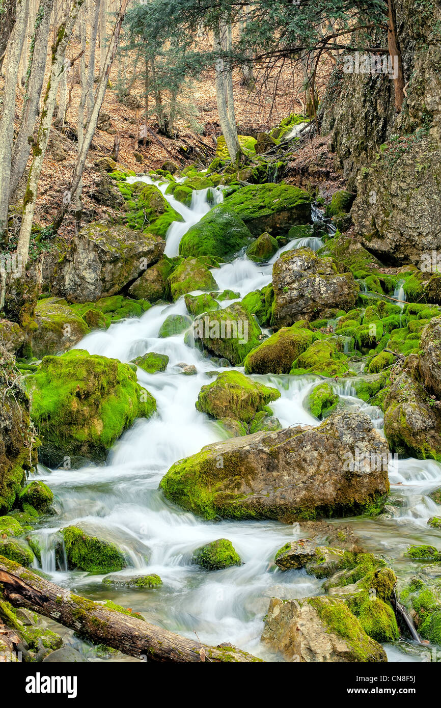 Spring river stream Stock Photo - Alamy