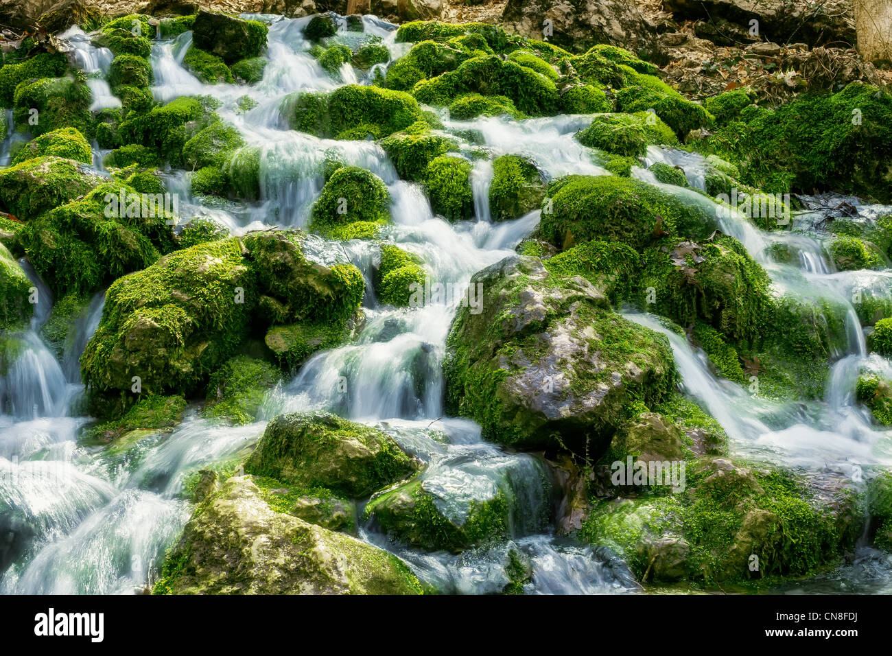 Spring river stream Stock Photo - Alamy