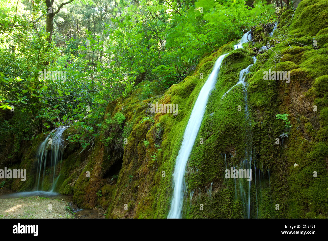 France, Alpes Maritimes, St Vallier de Thiey, site of the Saint John ...