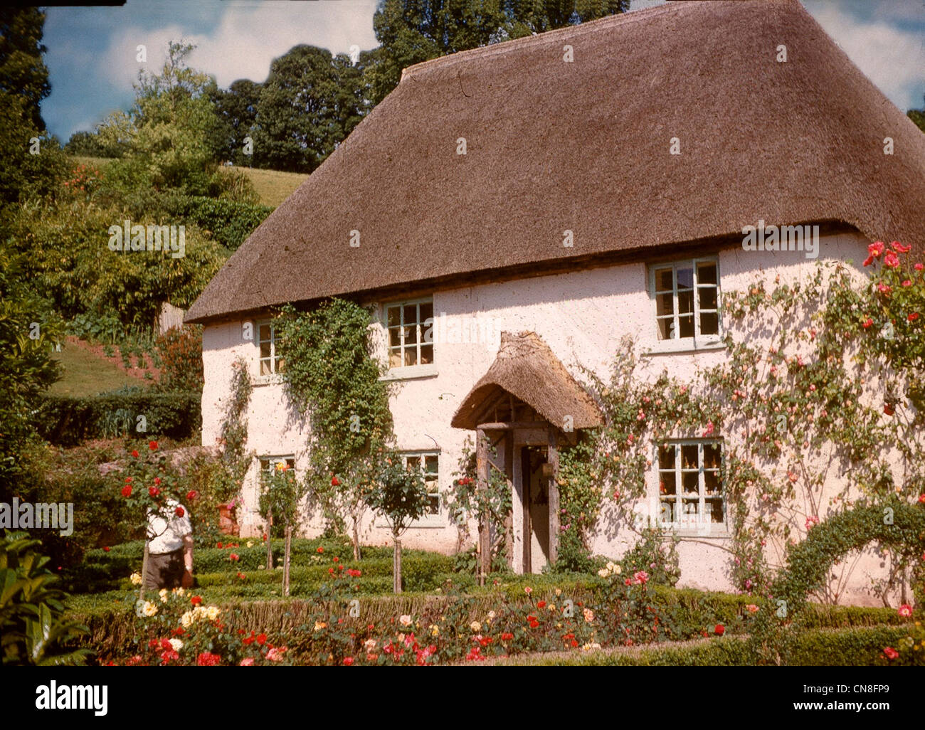 Thatched cottage in Cockington, near Torquay, Devon. 1961 Stock Photo ...