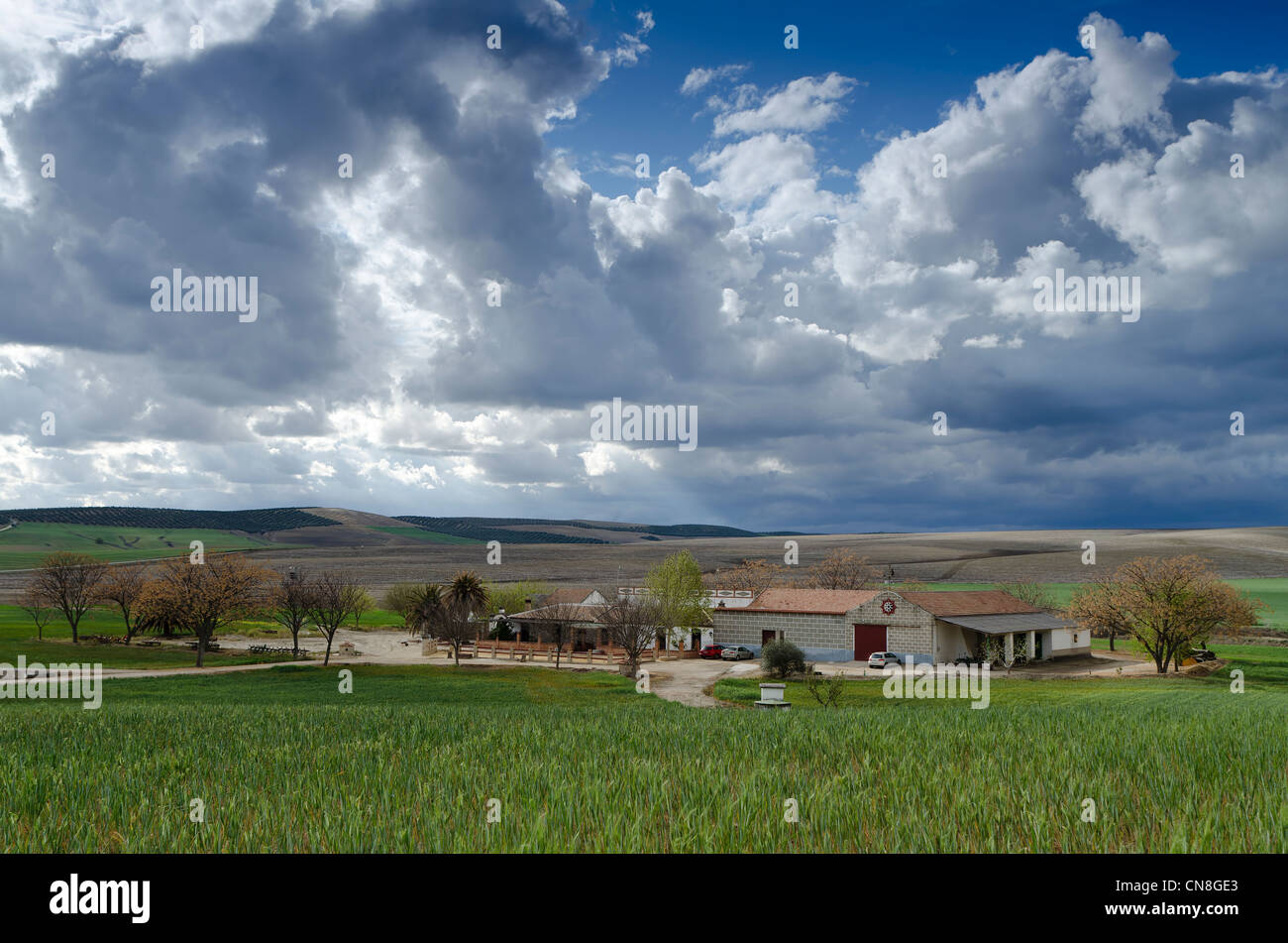 Spanish countryside hi-res stock photography and images - Alamy