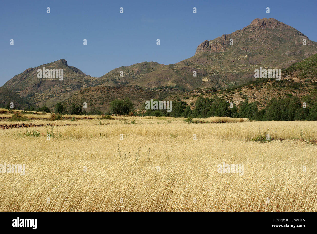 Landscape in Ethiopia Stock Photo - Alamy