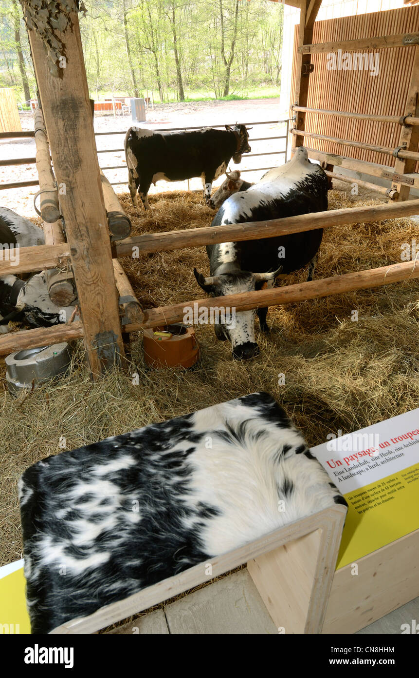 Maison du fromage hi-res stock photography and images - Alamy