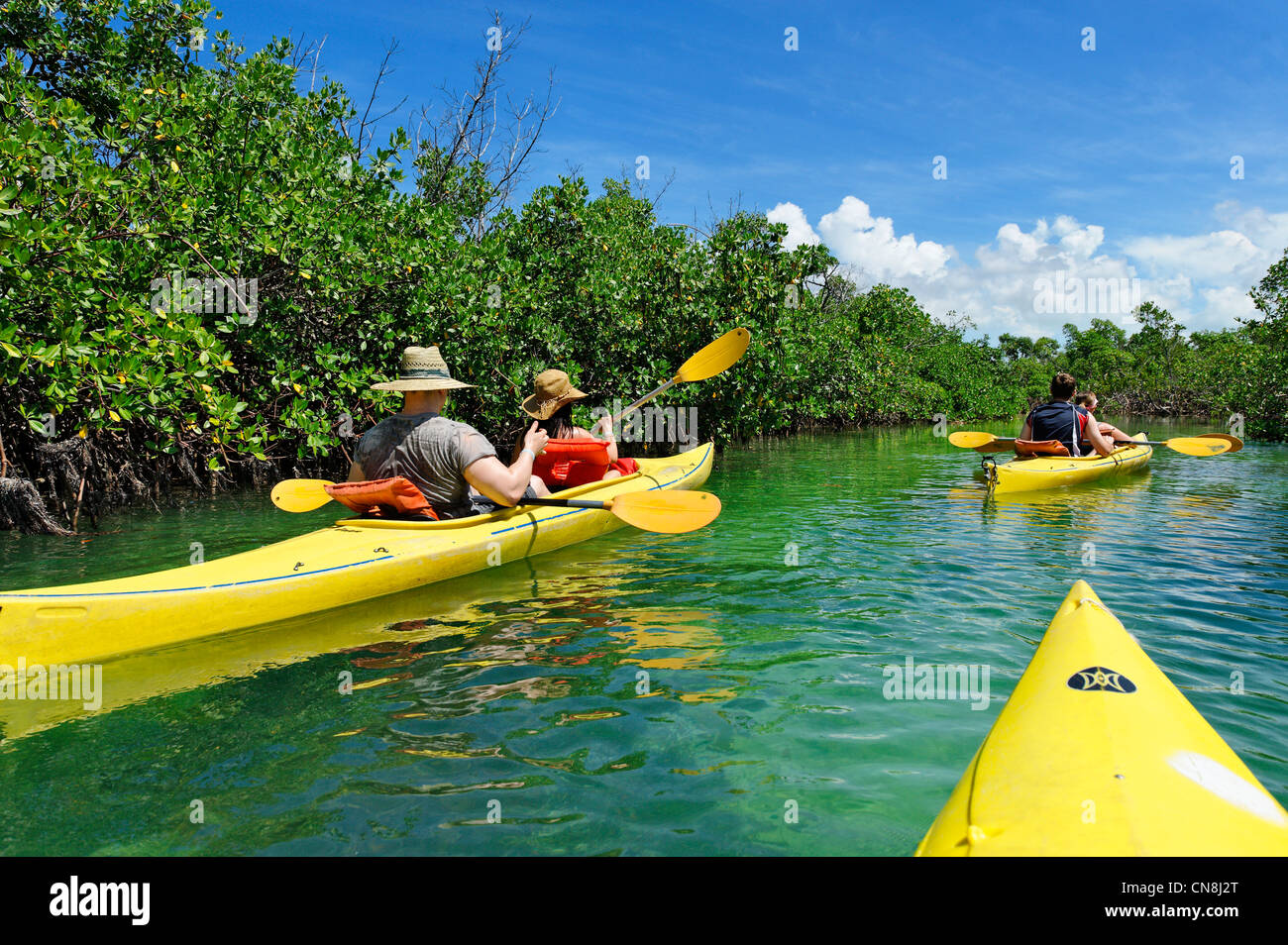 Bahamas, Grand Bahama Island, Old Freetown, Lucayan National Park ...