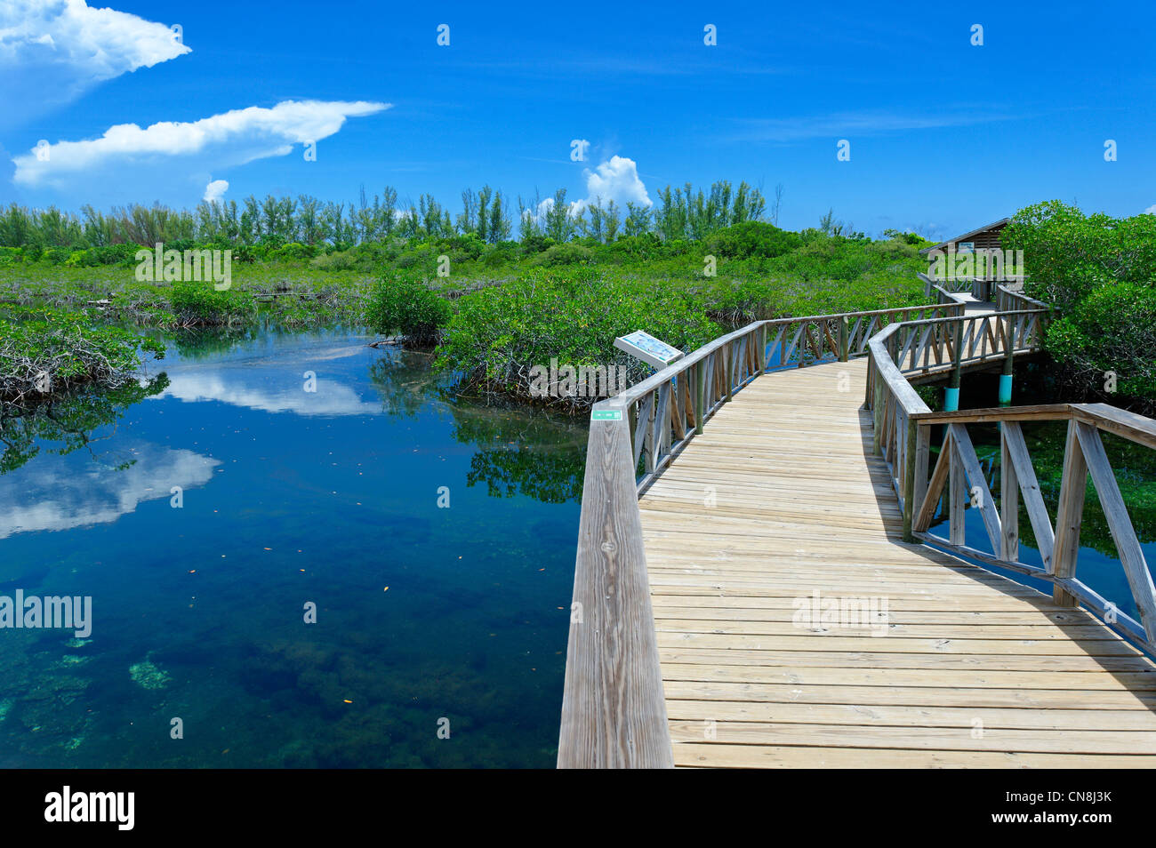Parc national de la mangrove hi-res stock photography and images - Alamy