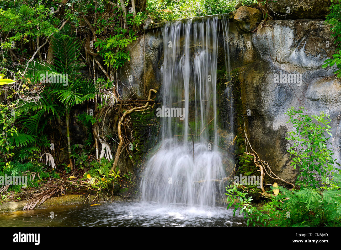 Bahamas, Grand Bahama Island, Freeport, botanical garden, waterfall ...