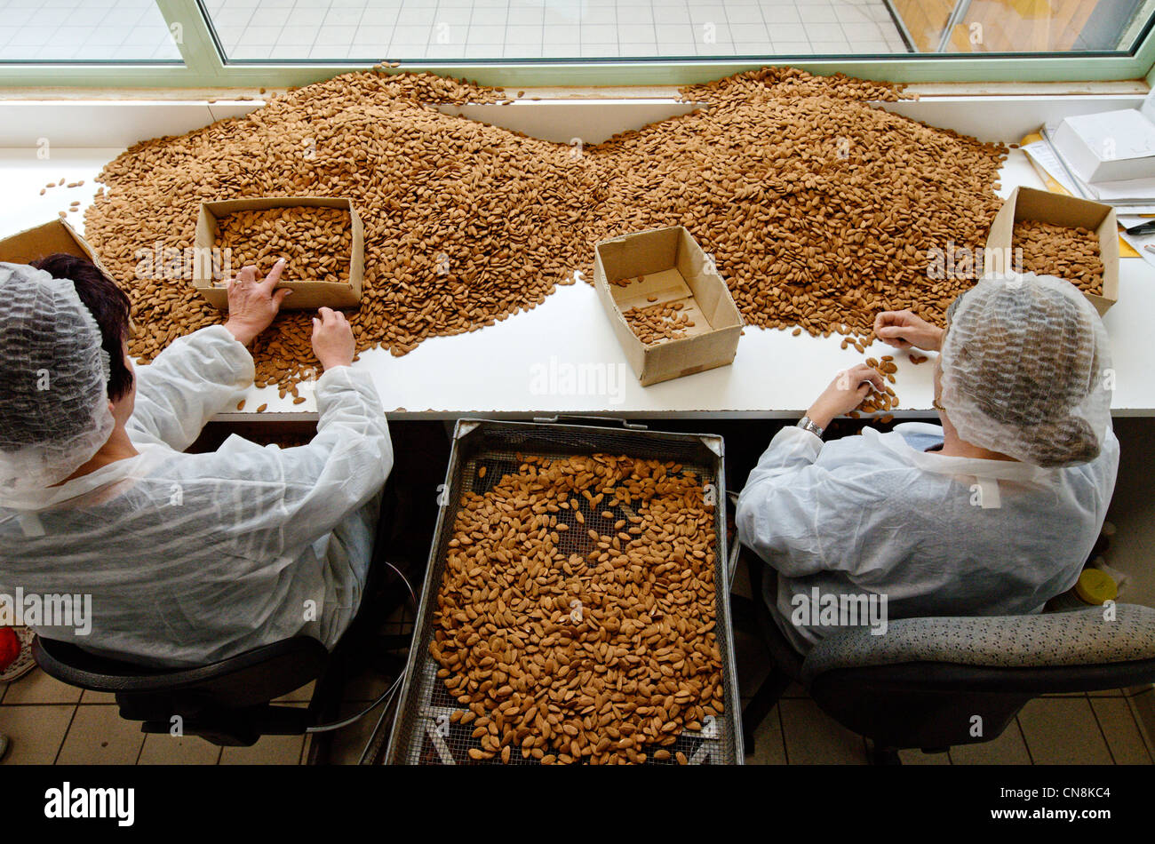 France, Meuse, Verdun, Braquier sugared almonds factory, manual sorting ...