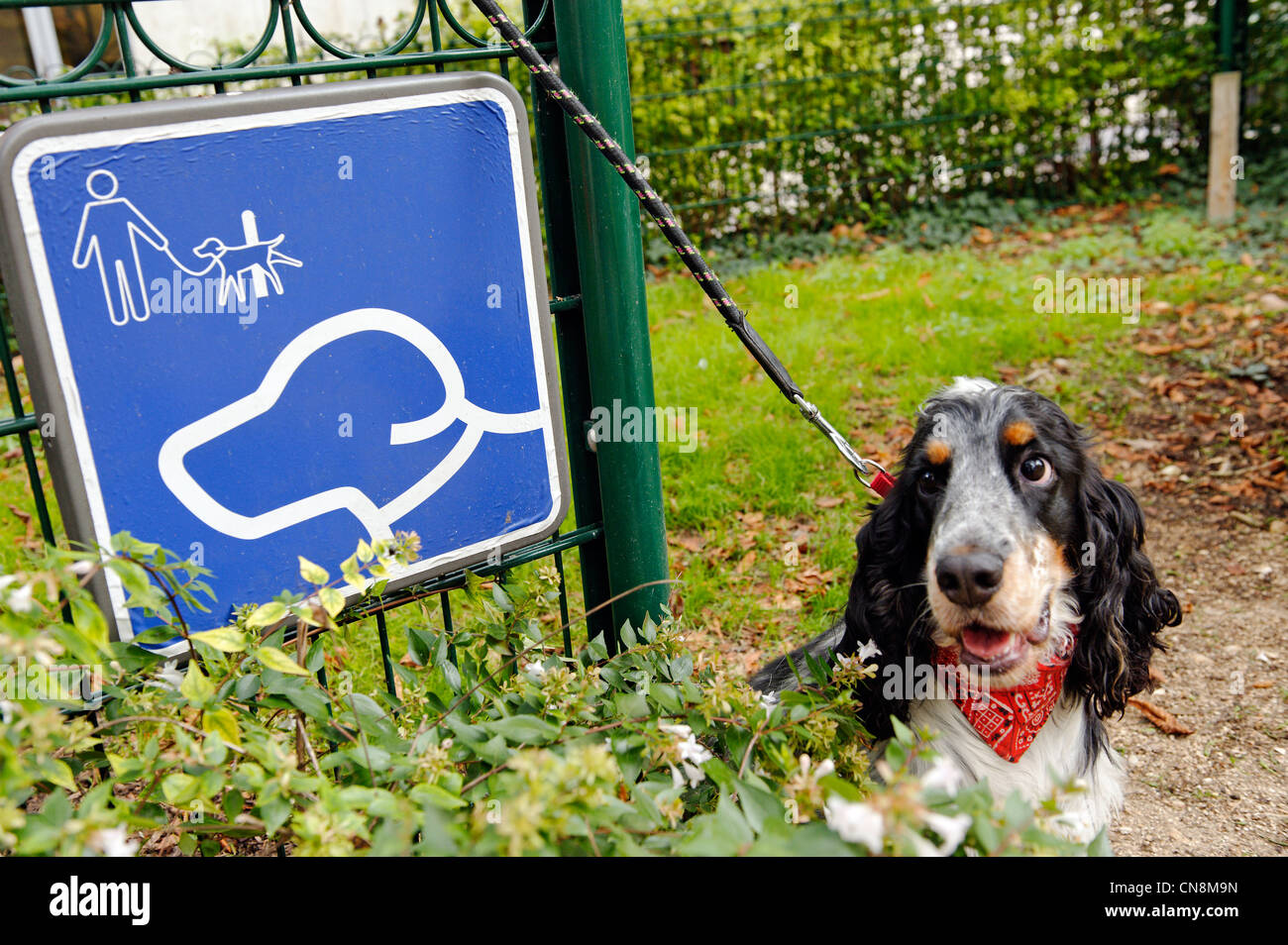 France, Aube, Troyes, toilets for dogs installed in the city as part of ...