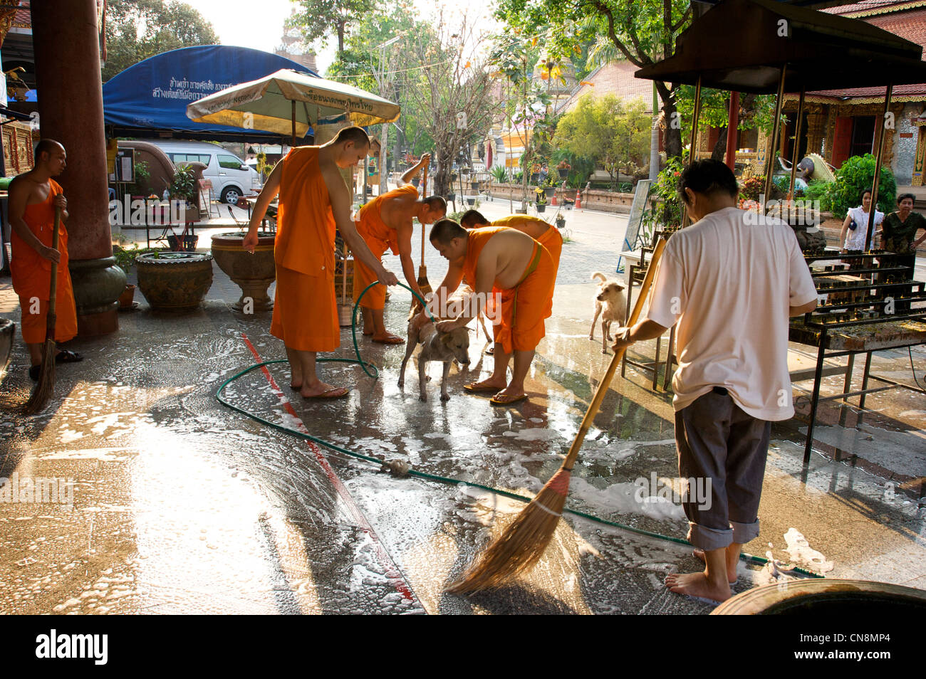 Monks bath hi-res stock photography and images - Alamy