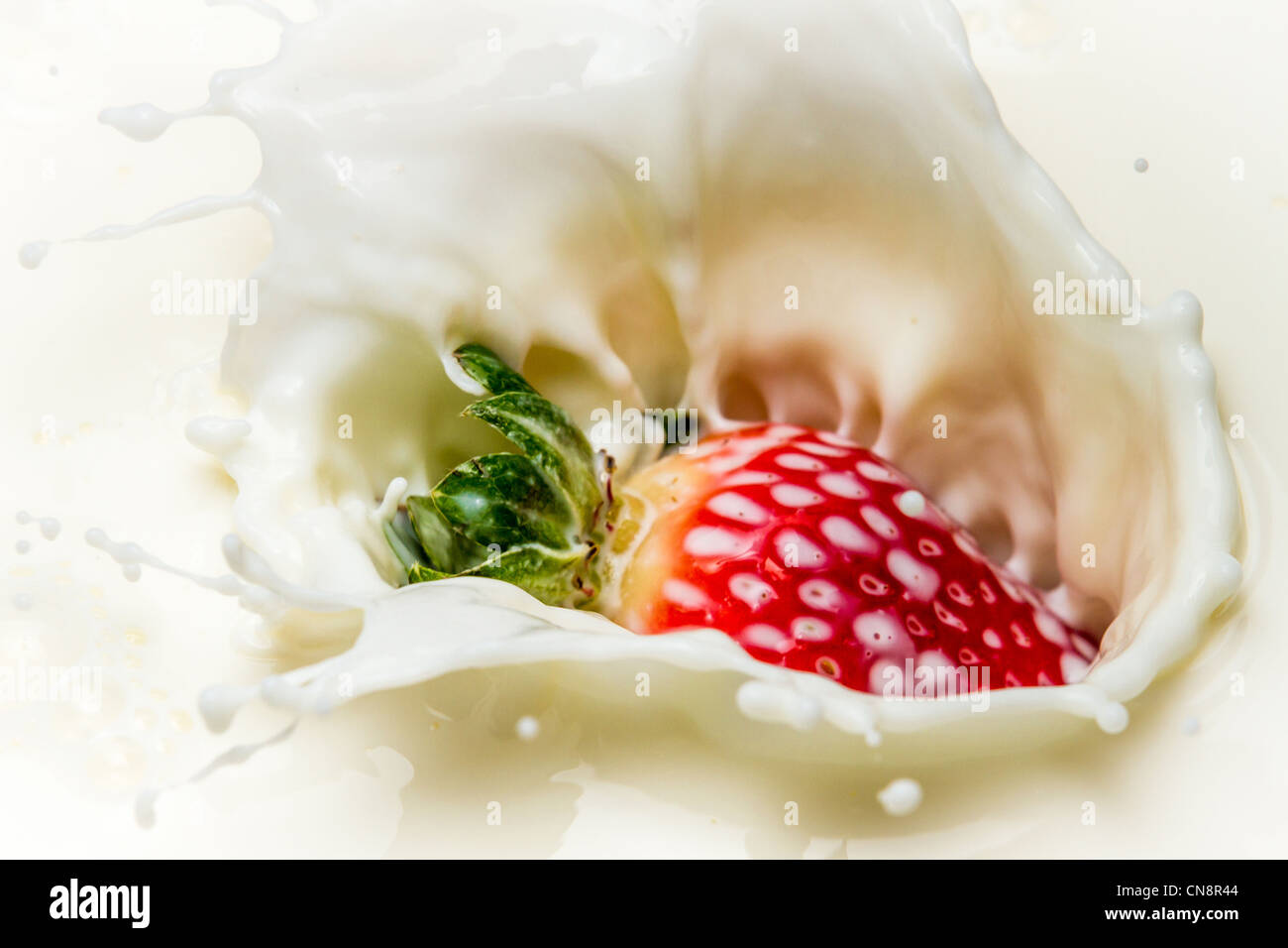 Closeup strawberry falling into milk Stock Photo - Alamy