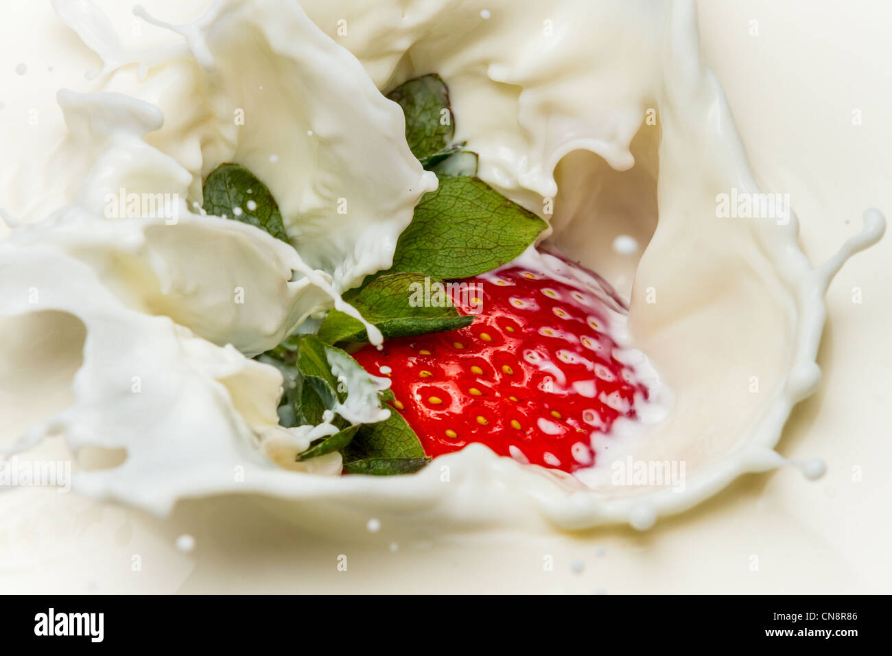 Strawberry falling into milk with a splash Stock Photo - Alamy