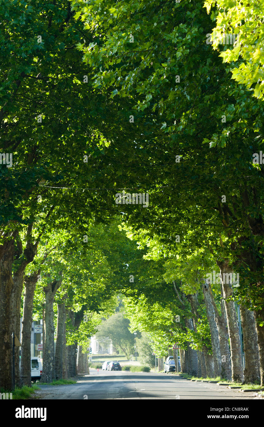 France, Finistere, Parc Naturel Regional d'Armorique (Armorique Natural ...