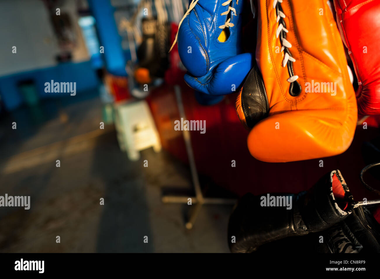Colorful boxing gloves hung off a rack in the boxing gym in Mexico City ...