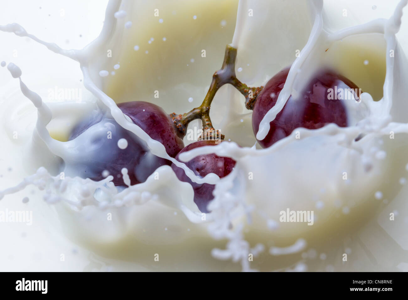 Splash of milk and dark grape Stock Photo - Alamy