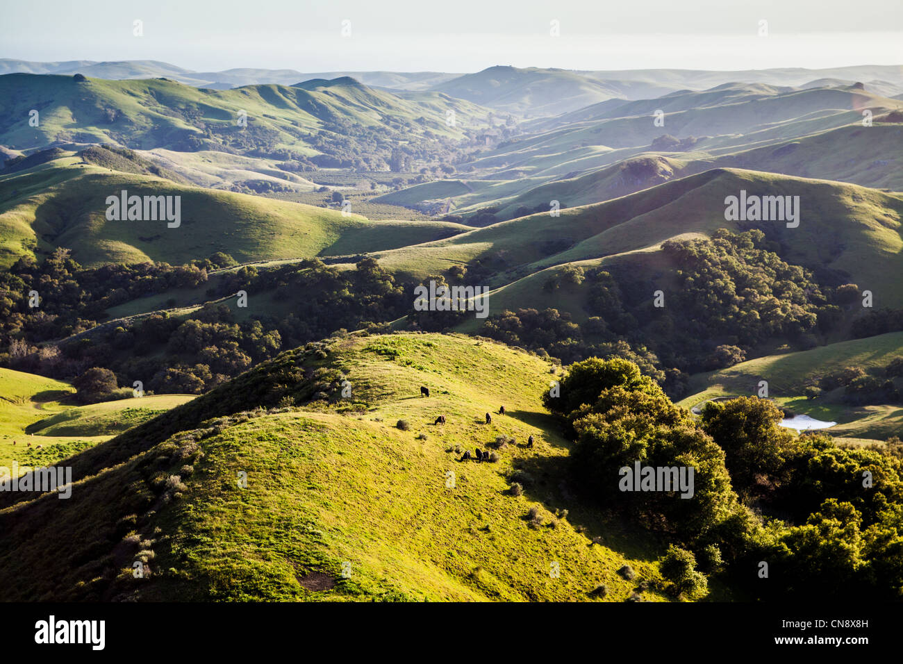 The green Hills of springtime Coastal California looking towards the ...