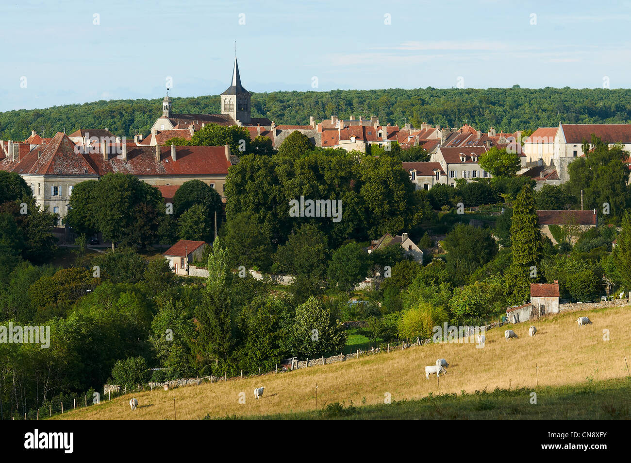 France, Cote d'Or, Flavigny sur Ozerain, labeled Les Plus Beaux ...